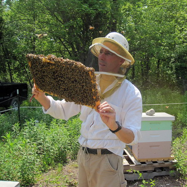Red Barn Honey - Bees